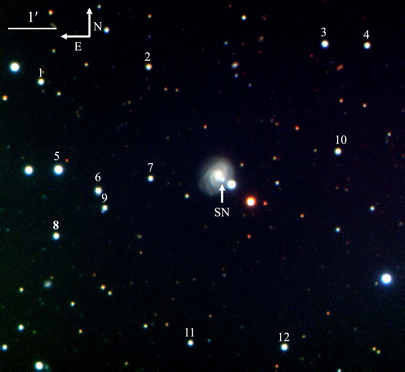 SN 2021dbg: A Luminous Type IIP–IIL Supernova Exploding from a Massive ...