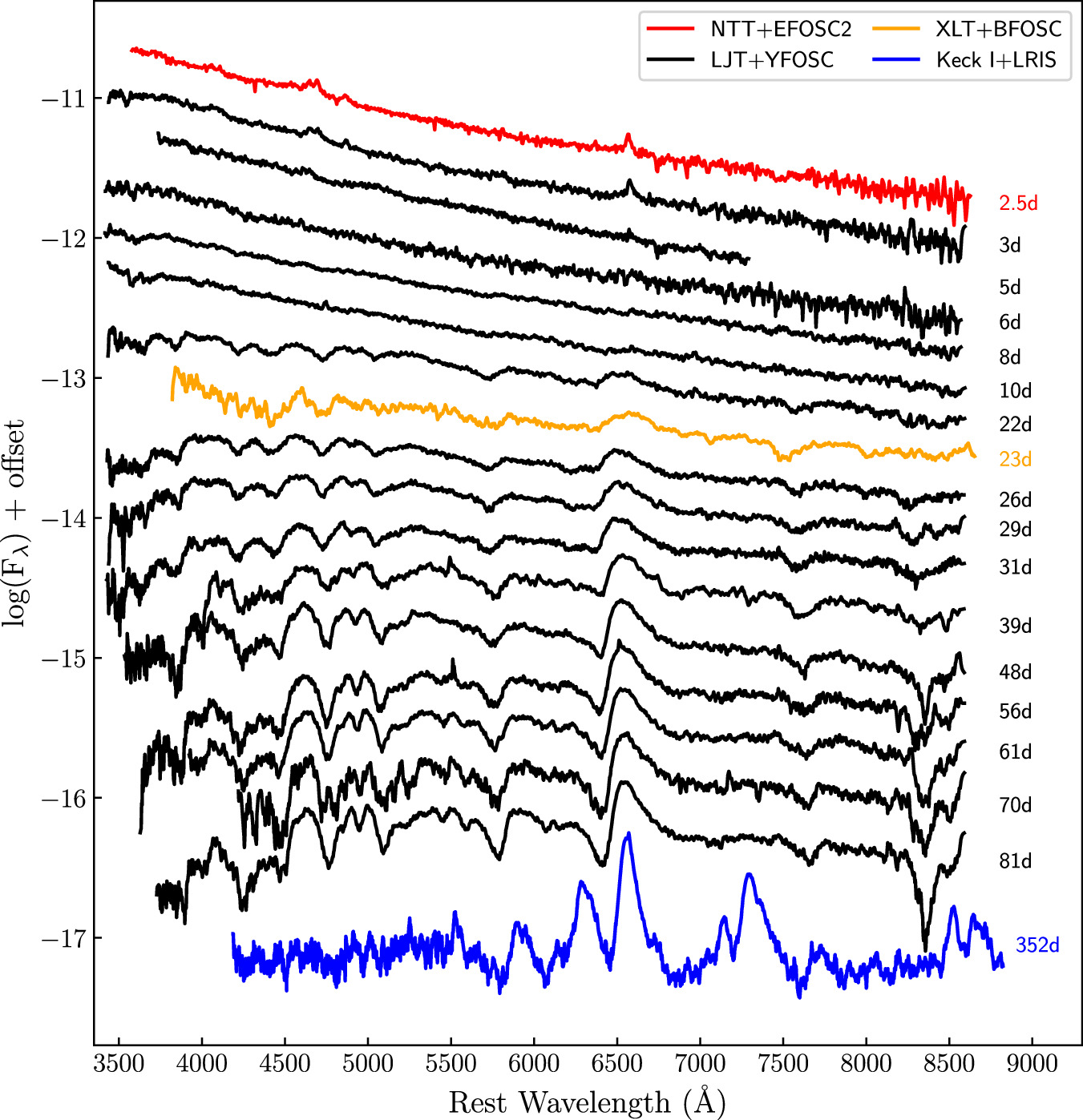 SN 2021dbg: A Luminous Type IIP–IIL Supernova Exploding from a Massive ...