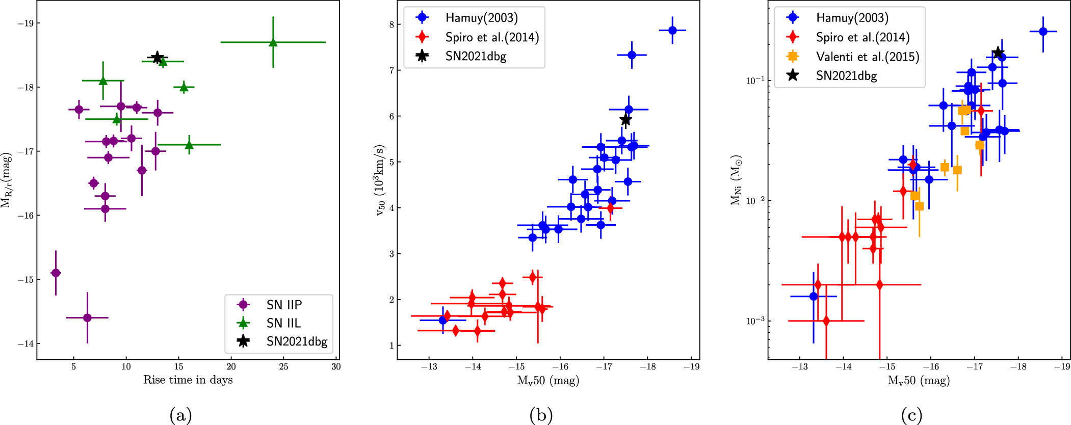 SN 2021dbg: A Luminous Type IIP–IIL Supernova Exploding from a Massive ...