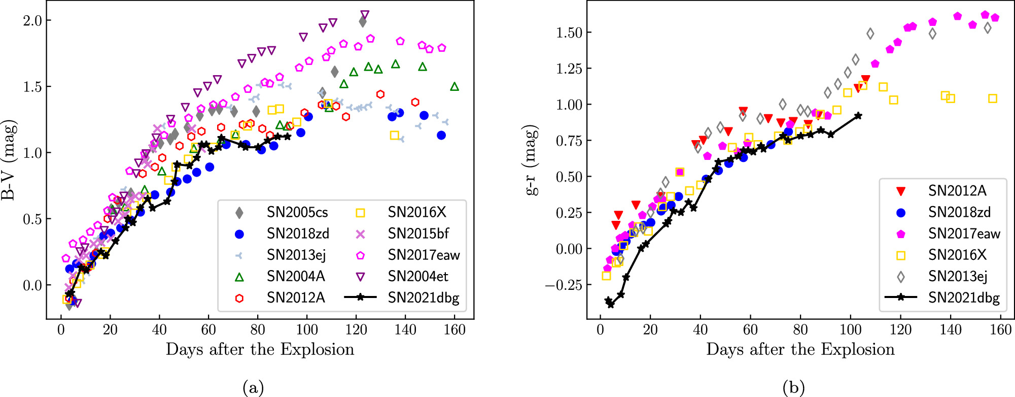 SN 2021dbg: A Luminous Type IIP–IIL Supernova Exploding from a Massive ...