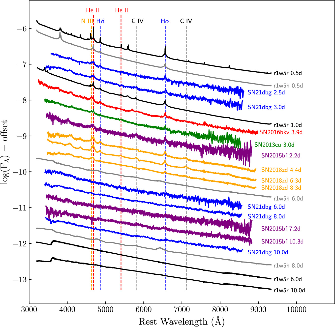 SN 2021dbg: A Luminous Type IIP–IIL Supernova Exploding from a Massive ...