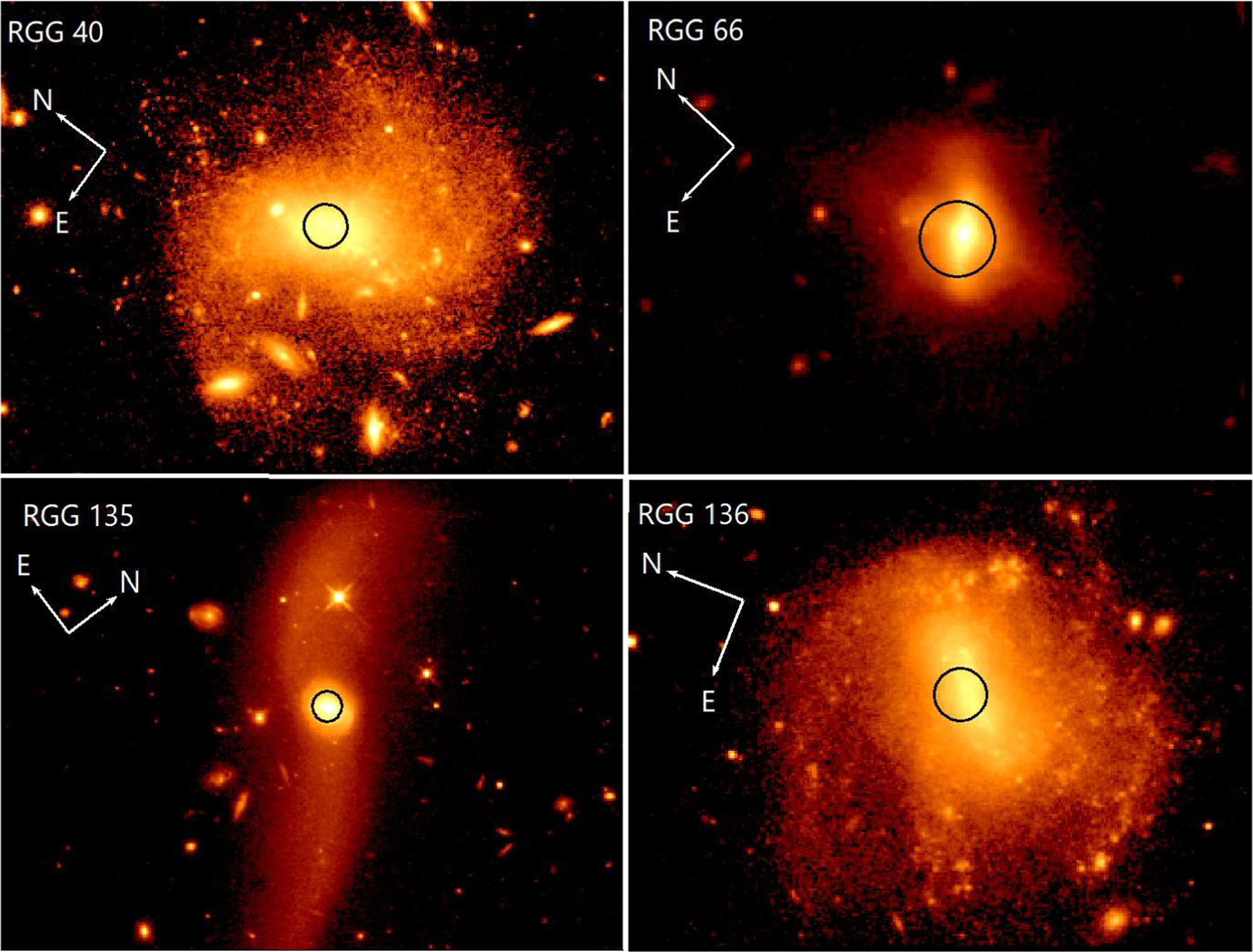 A Luminous X-Ray Active Galactic Nucleus in the Dwarf–Dwarf Galaxy ...