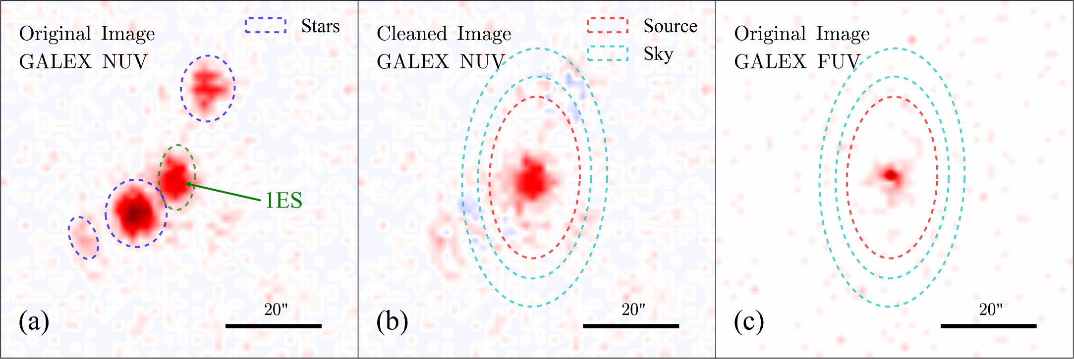 The Interplay between the Disk and Corona of the Changing-look Active ...