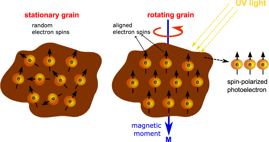 Magnetically Aligned Grains as a Ubiquitous Source of Spin-polarized ...