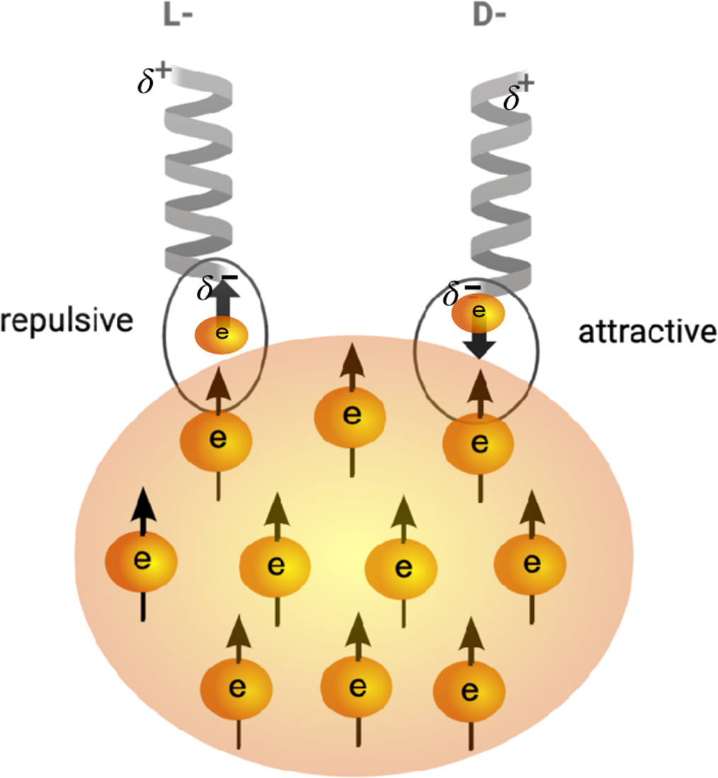 Magnetically Aligned Grains as a Ubiquitous Source of Spin-polarized ...