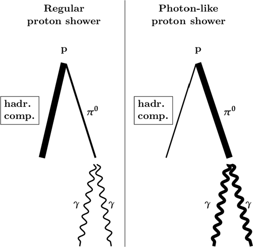 Photon-likeness of Hadron Showers and Impact of Lorentz Boosting ...