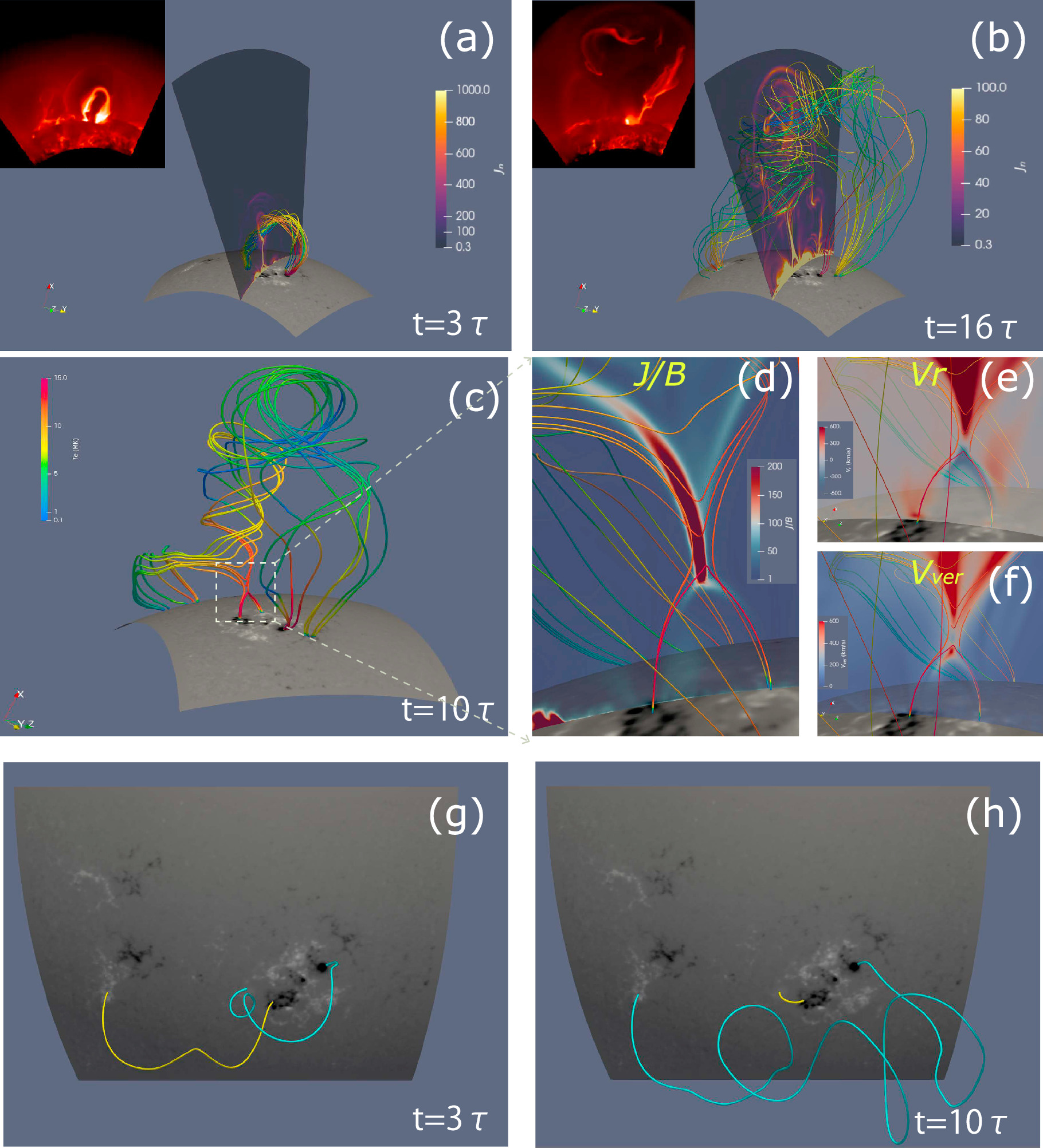 The Birth of a Major Coronal Mass Ejection with Intricate Magnetic ...