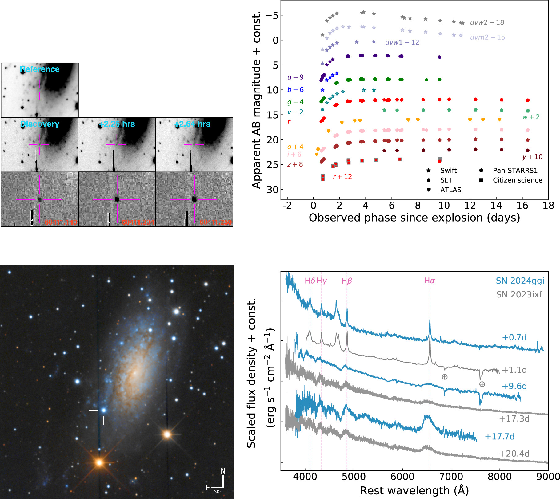 Discovery and Extensive Follow-up of SN 2024ggi, a Nearby Type IIP ...