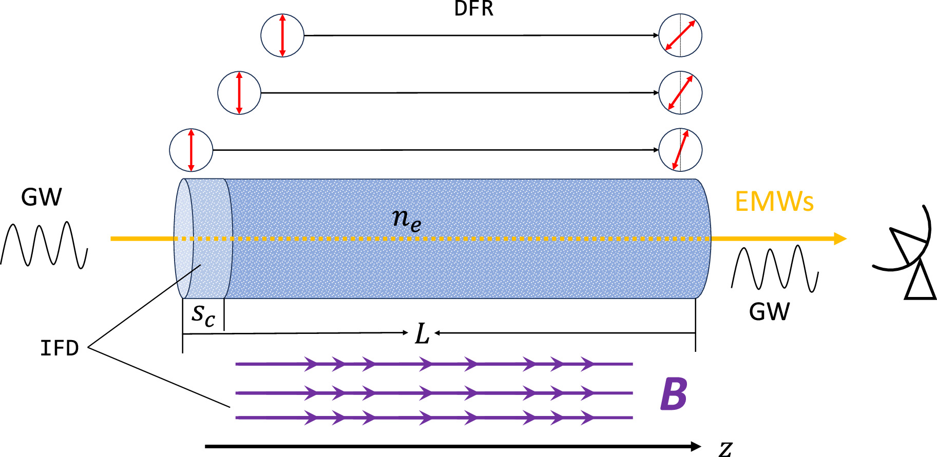 Polarization Properties of the Electromagnetic Response to High ...