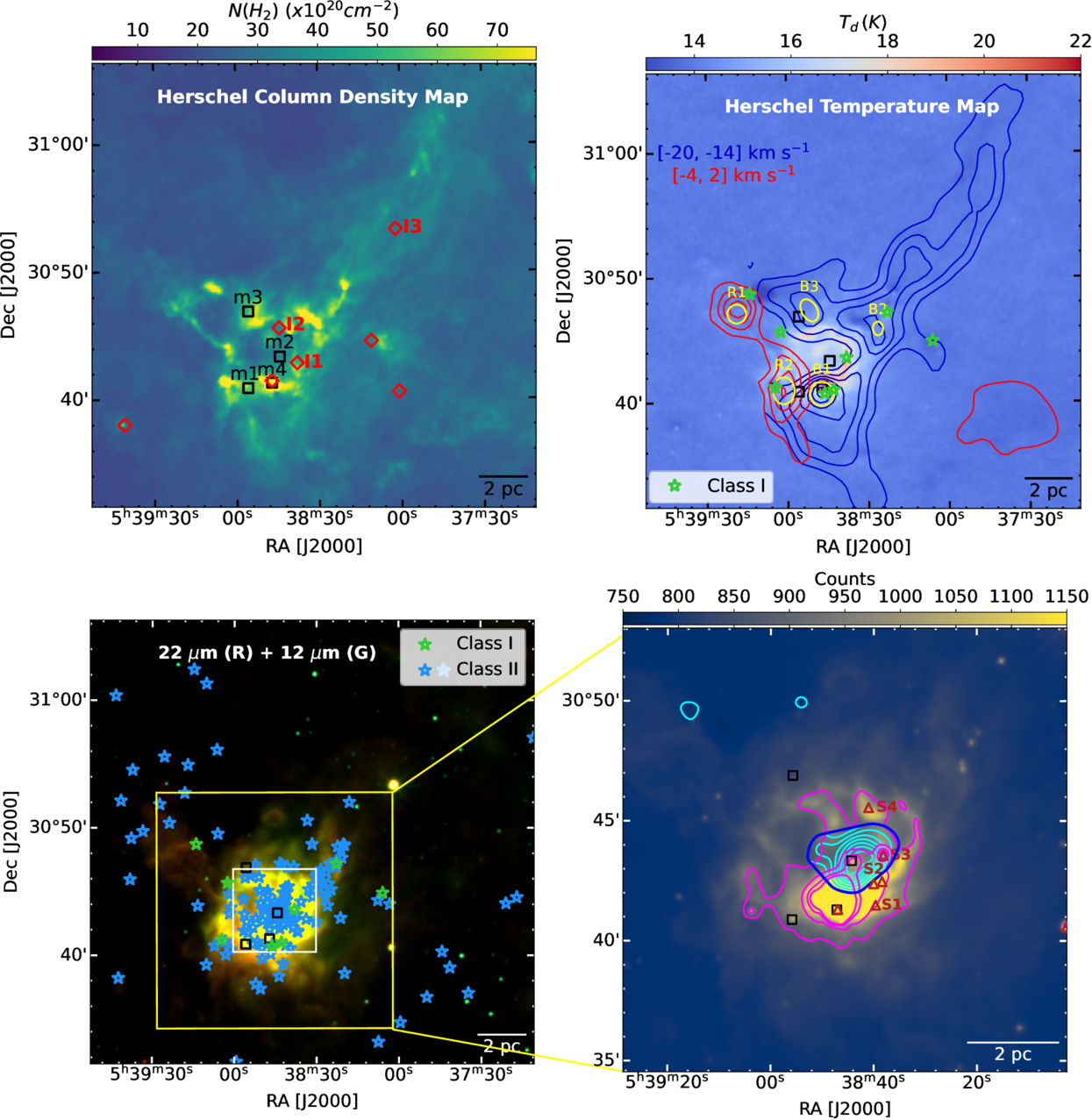 Unraveling the Feedback-regulated Star Formation Activities around the ...