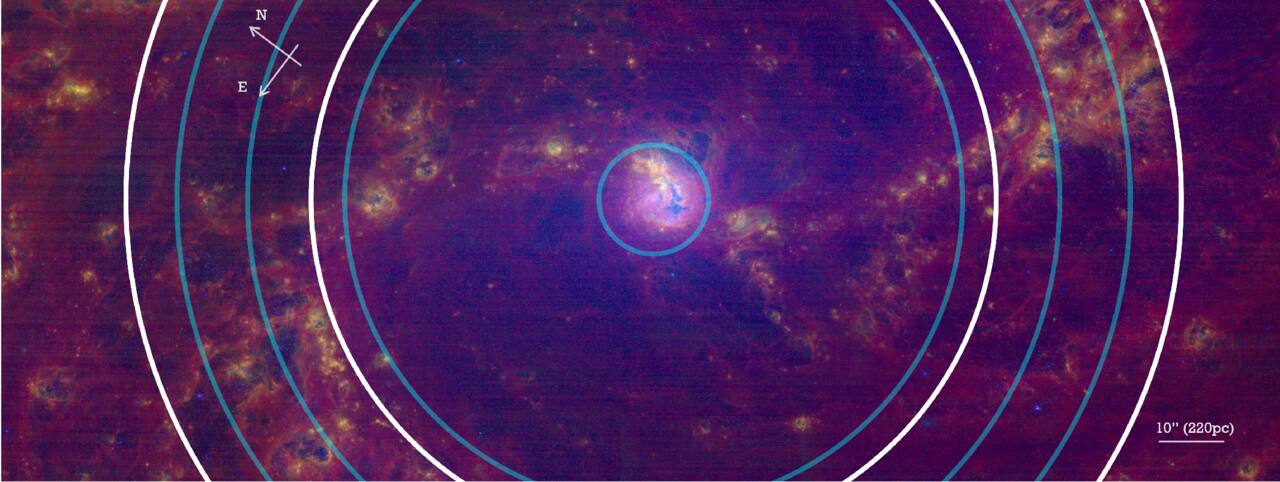 FEAST: JWST Uncovers the Emerging Timescales of Young Star Clusters in ...