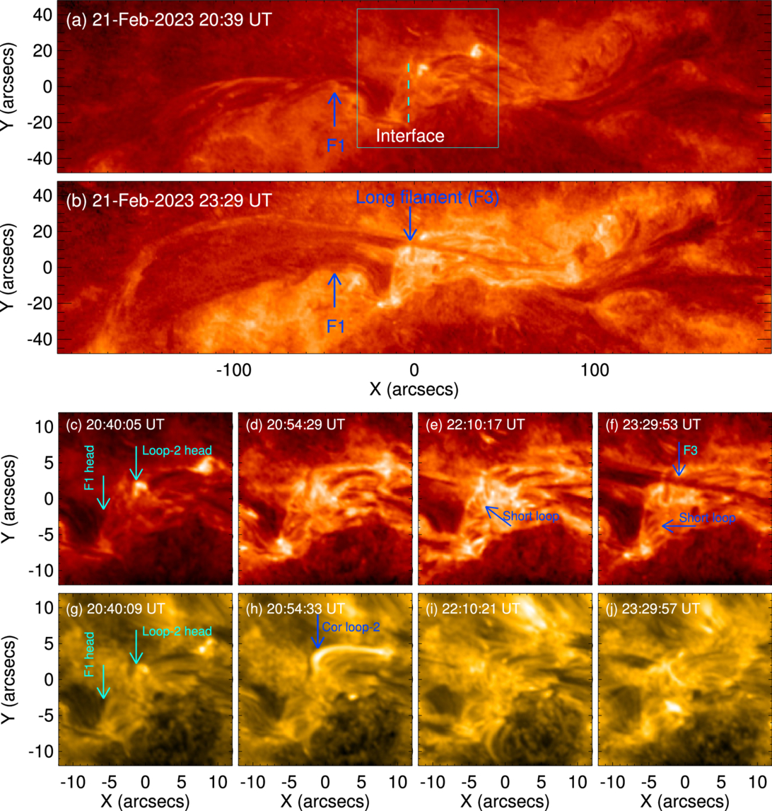 Interactions between Solar Filaments and Coronal Loops in Active Region ...