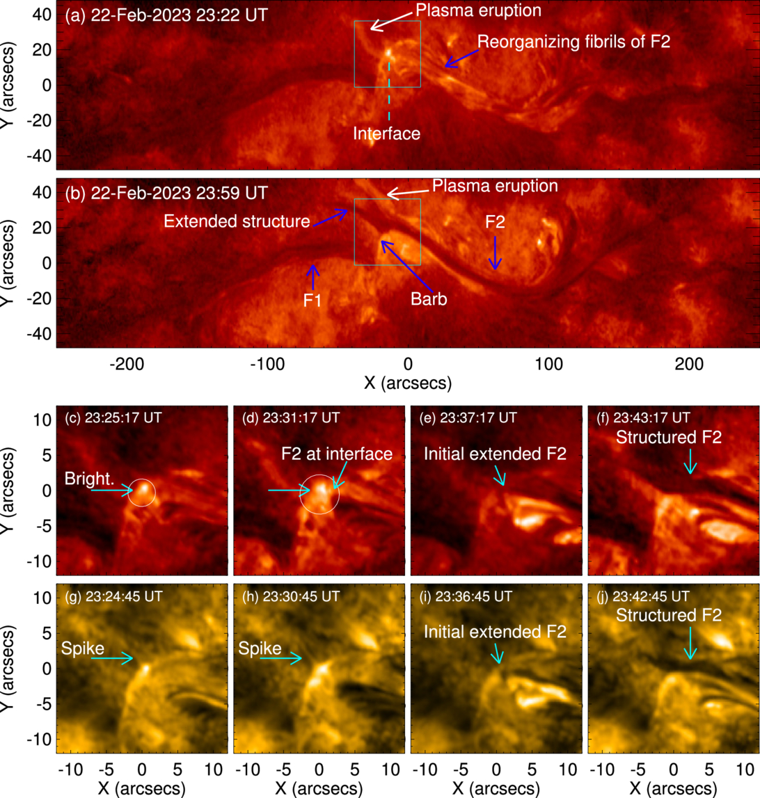 Interactions between Solar Filaments and Coronal Loops in Active Region ...