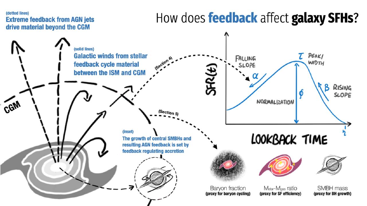 How Does Feedback Affect the Star Formation Histories of Galaxies ...