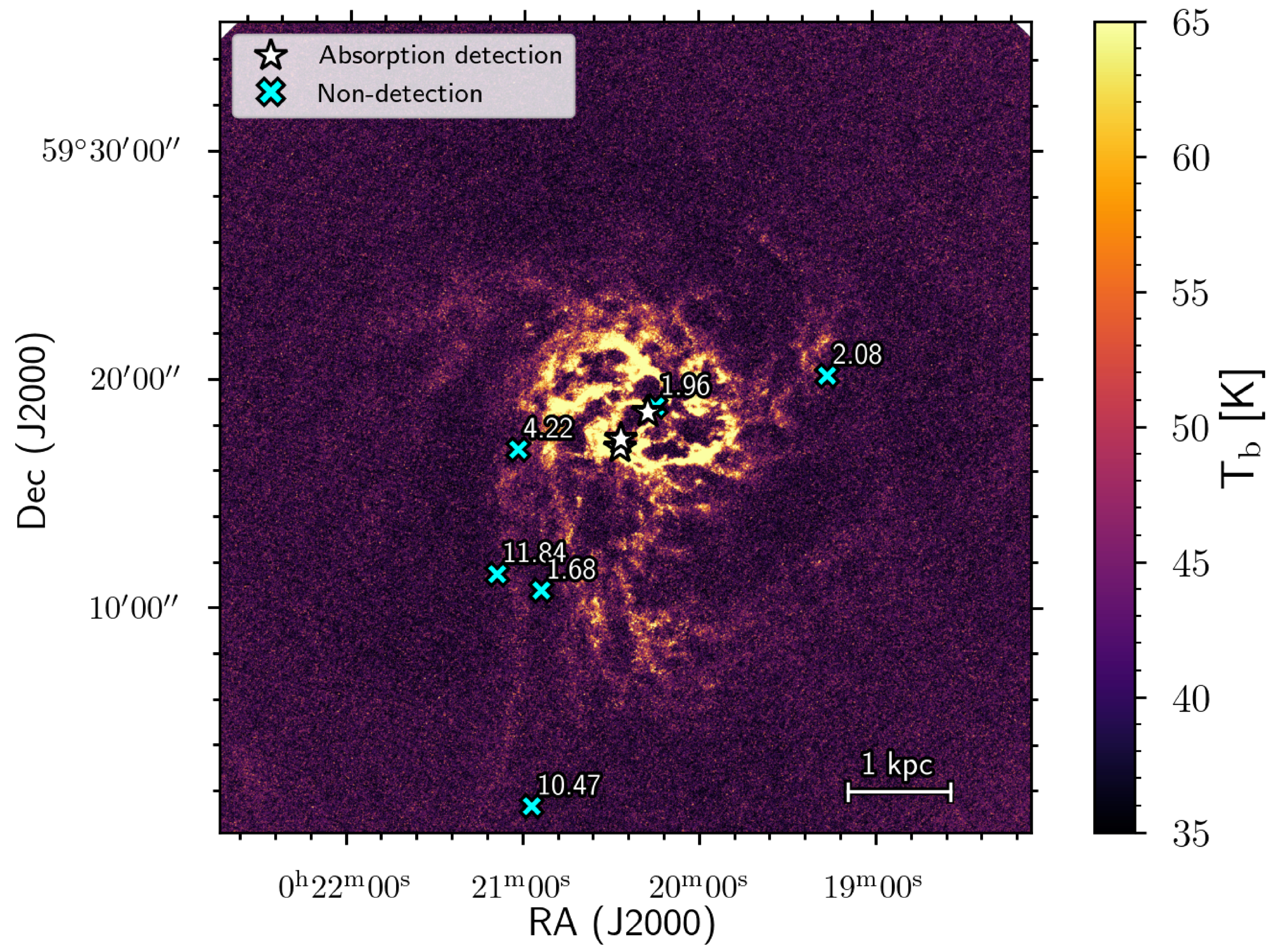The Local Group L-band Survey: Probing Cold Atomic Gas in IC 10 with ...