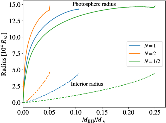 The Growth of the Central Black Holes in Quasi-stars - IOPscience