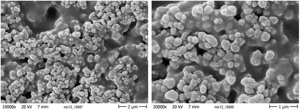 Taking a fresh look at optical crowding of TiO2: the role of ...