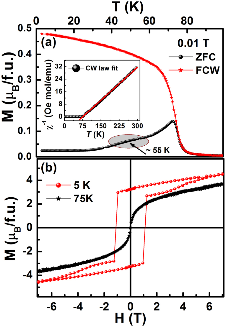 Multicaloric effect in multiferroic Y2CoMnO6 - IOPscience