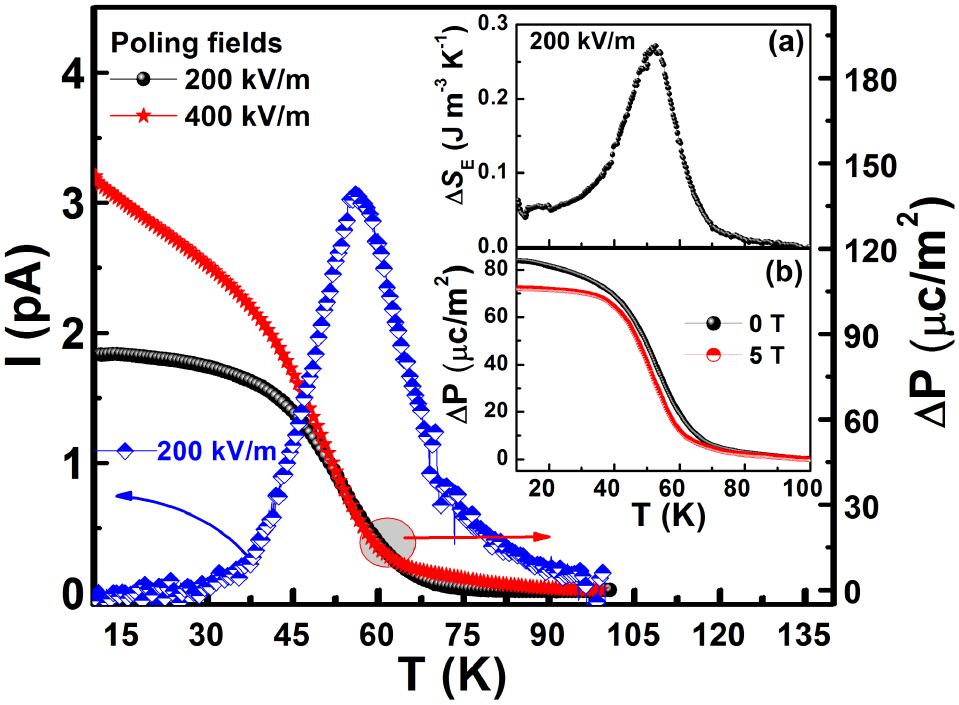 Multicaloric effect in multiferroic Y2CoMnO6 - IOPscience