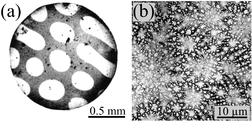 Progress in magnetic domain observation by advanced magneto-optical ...