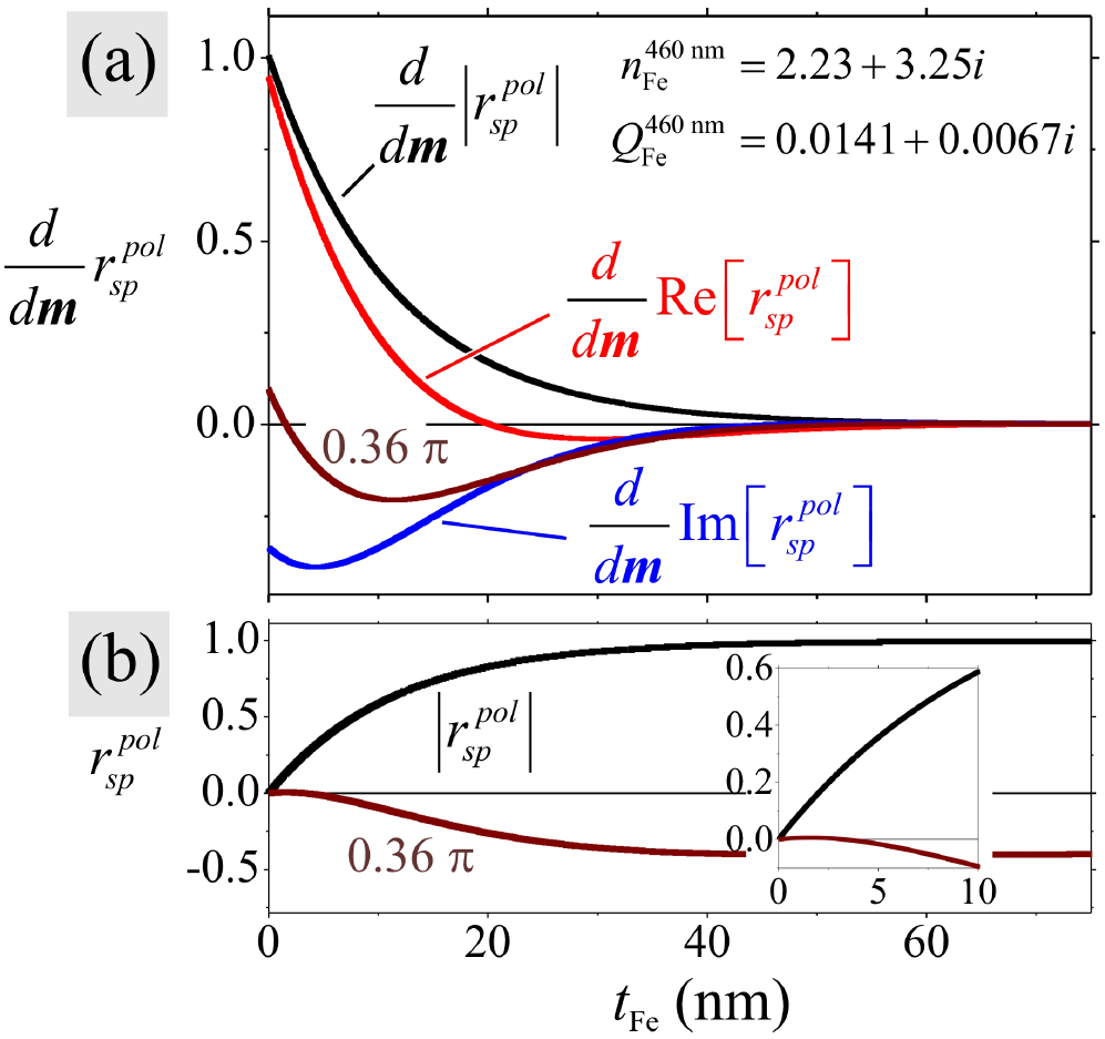 Progress in magnetic domain observation by advanced magneto-optical ...