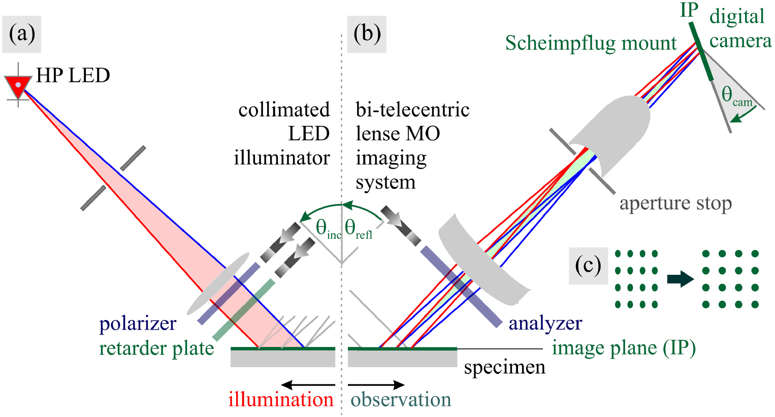Progress in magnetic domain observation by advanced magneto-optical ...