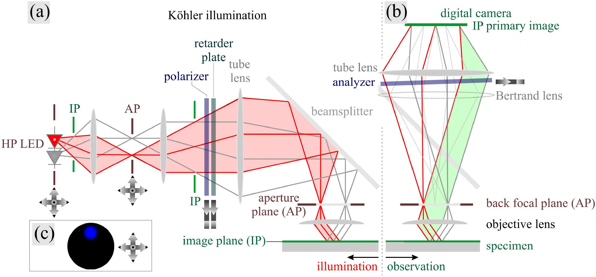 Progress in magnetic domain observation by advanced magneto-optical ...