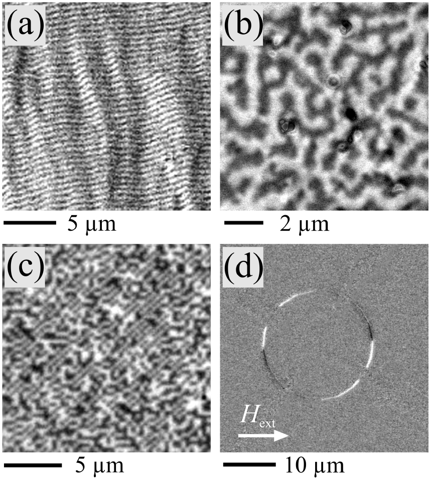 Progress in magnetic domain observation by advanced magneto-optical ...