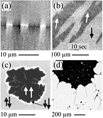 Progress in magnetic domain observation by advanced magneto-optical ...