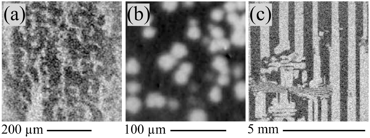 Progress in magnetic domain observation by advanced magneto-optical ...
