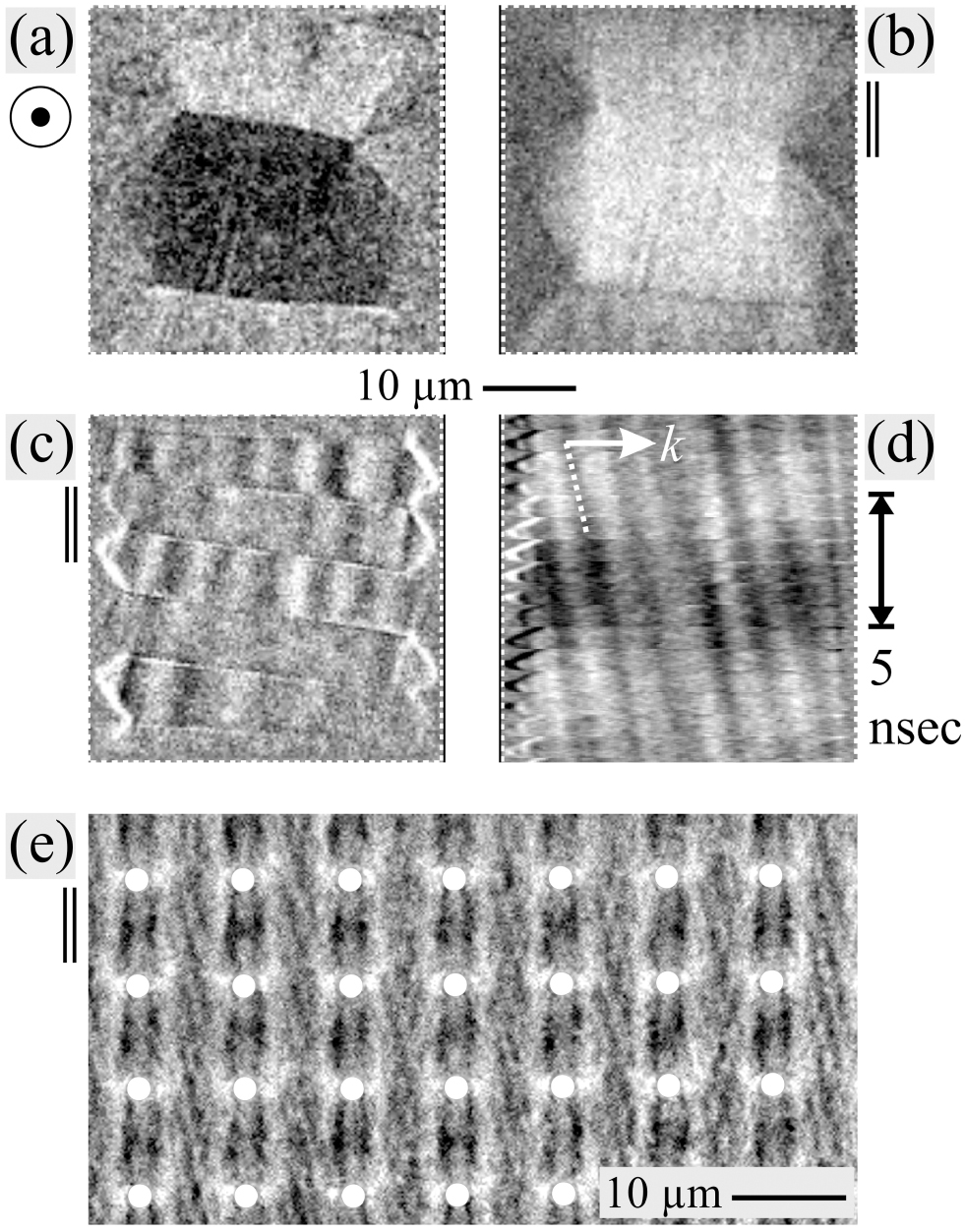 Progress in magnetic domain observation by advanced magneto-optical ...