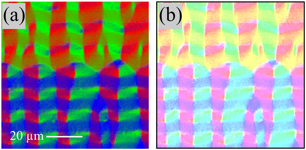 Progress in magnetic domain observation by advanced magneto-optical ...