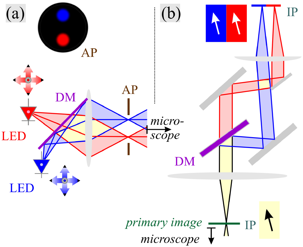 Progress in magnetic domain observation by advanced magneto-optical ...