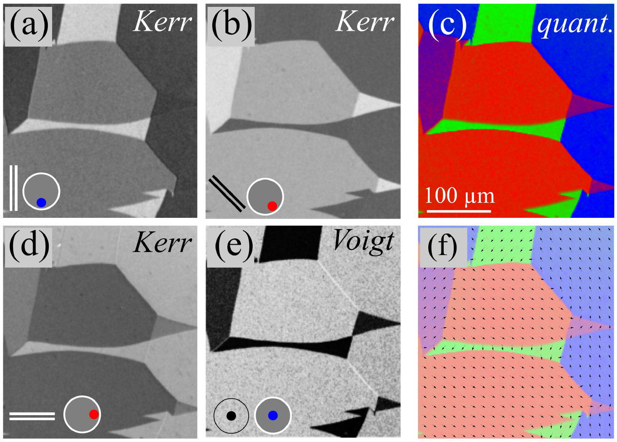 Progress in magnetic domain observation by advanced magneto-optical ...