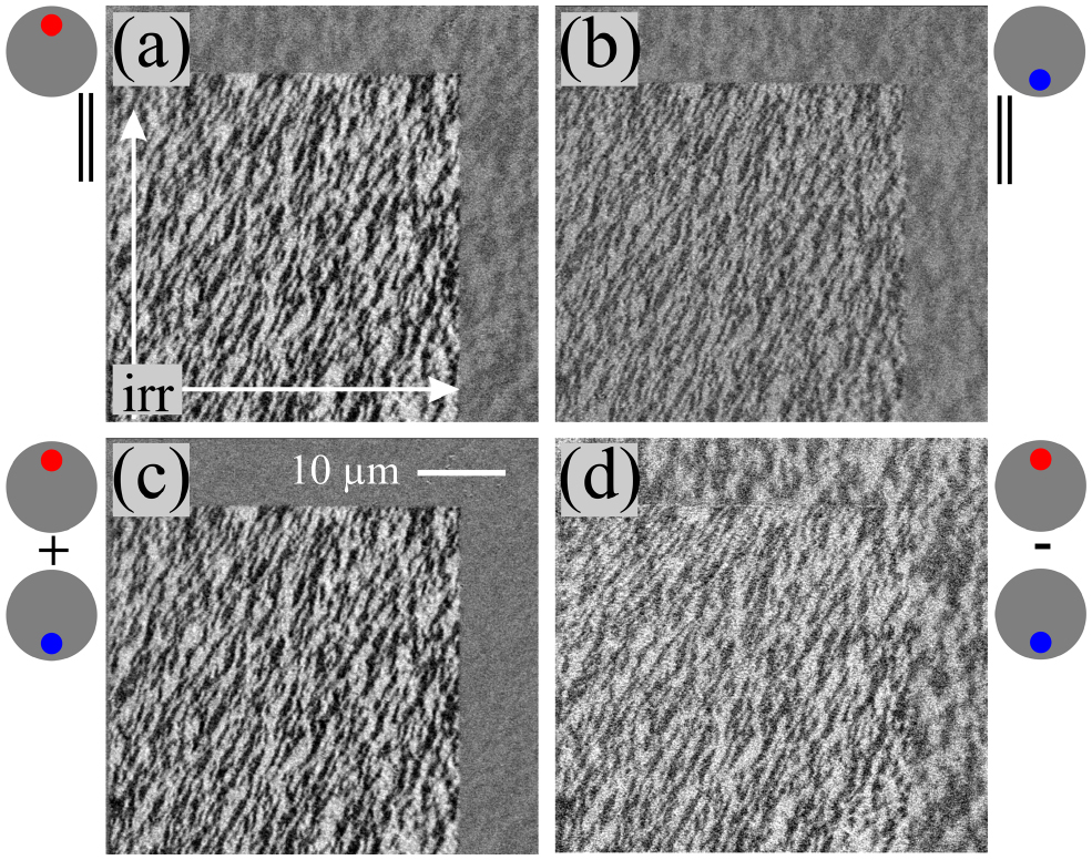 Progress in magnetic domain observation by advanced magneto-optical ...