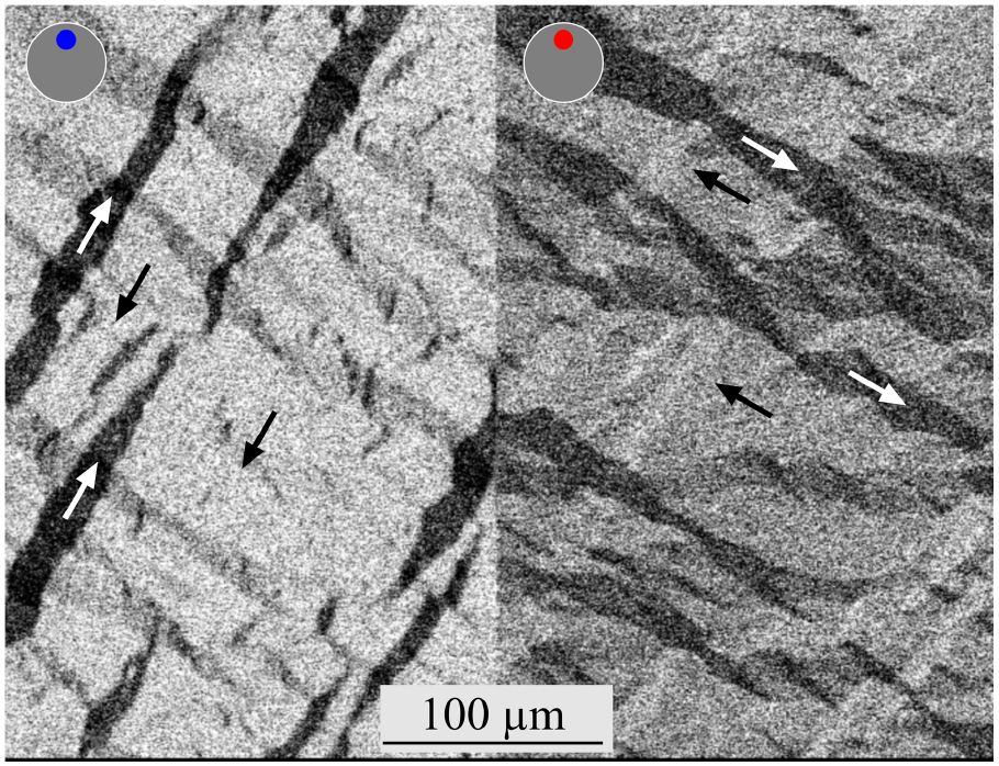Progress in magnetic domain observation by advanced magneto-optical ...