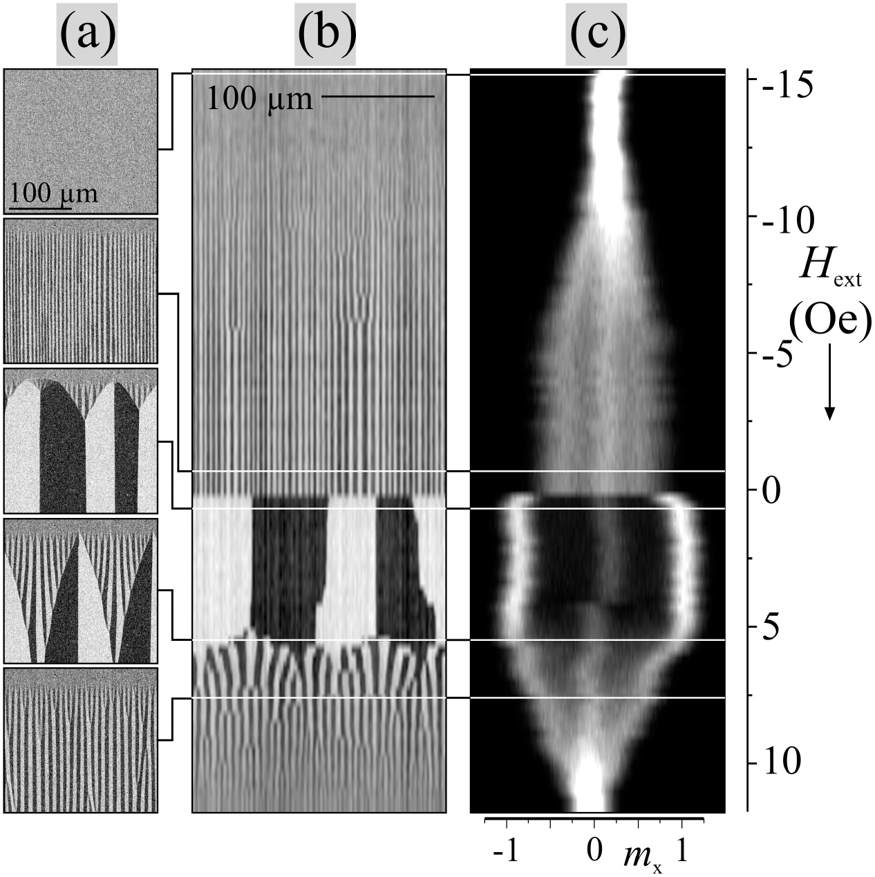 Progress in magnetic domain observation by advanced magneto-optical ...