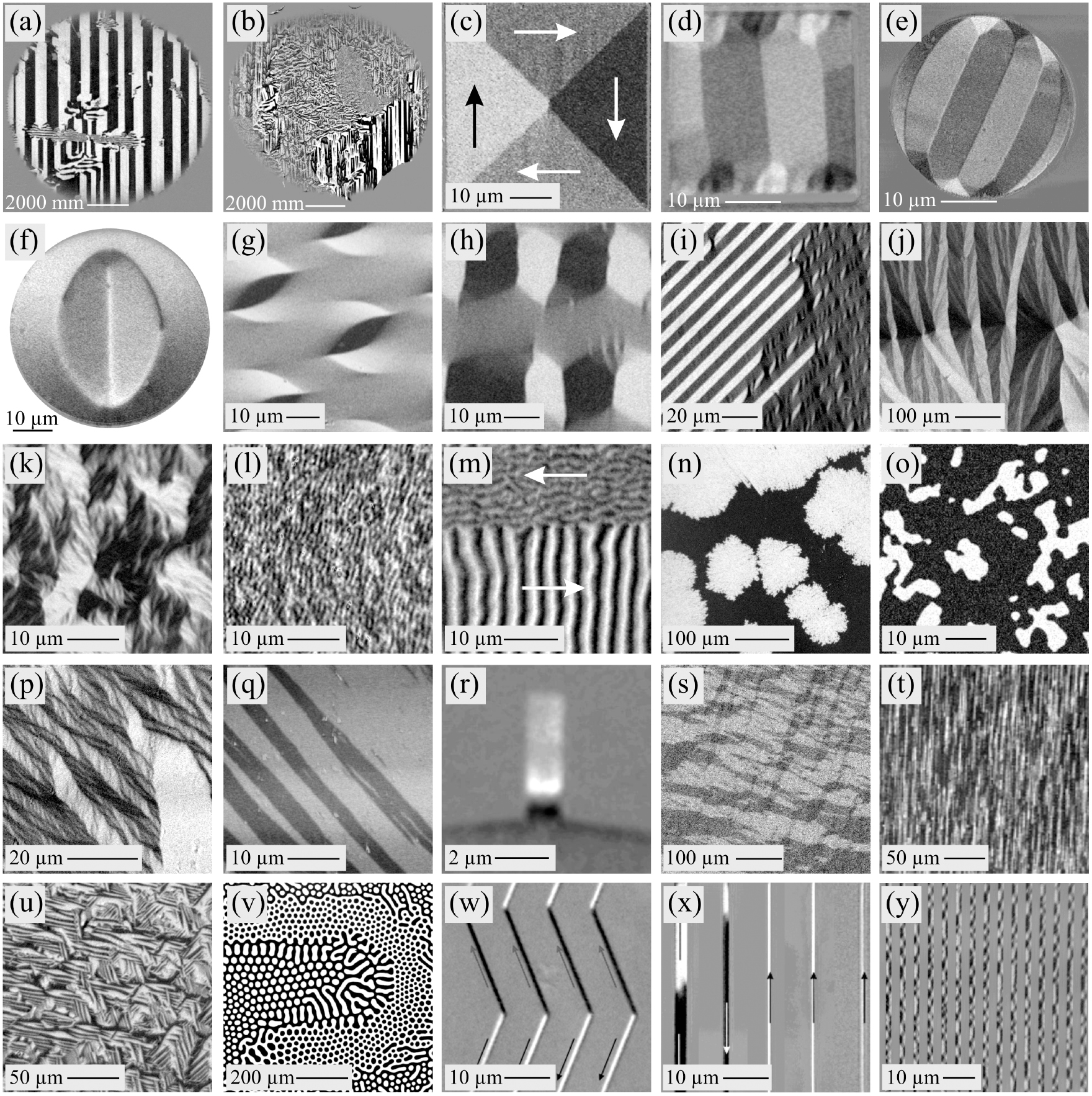 Progress in magnetic domain observation by advanced magneto-optical ...