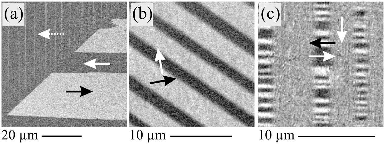 Progress in magnetic domain observation by advanced magneto-optical ...