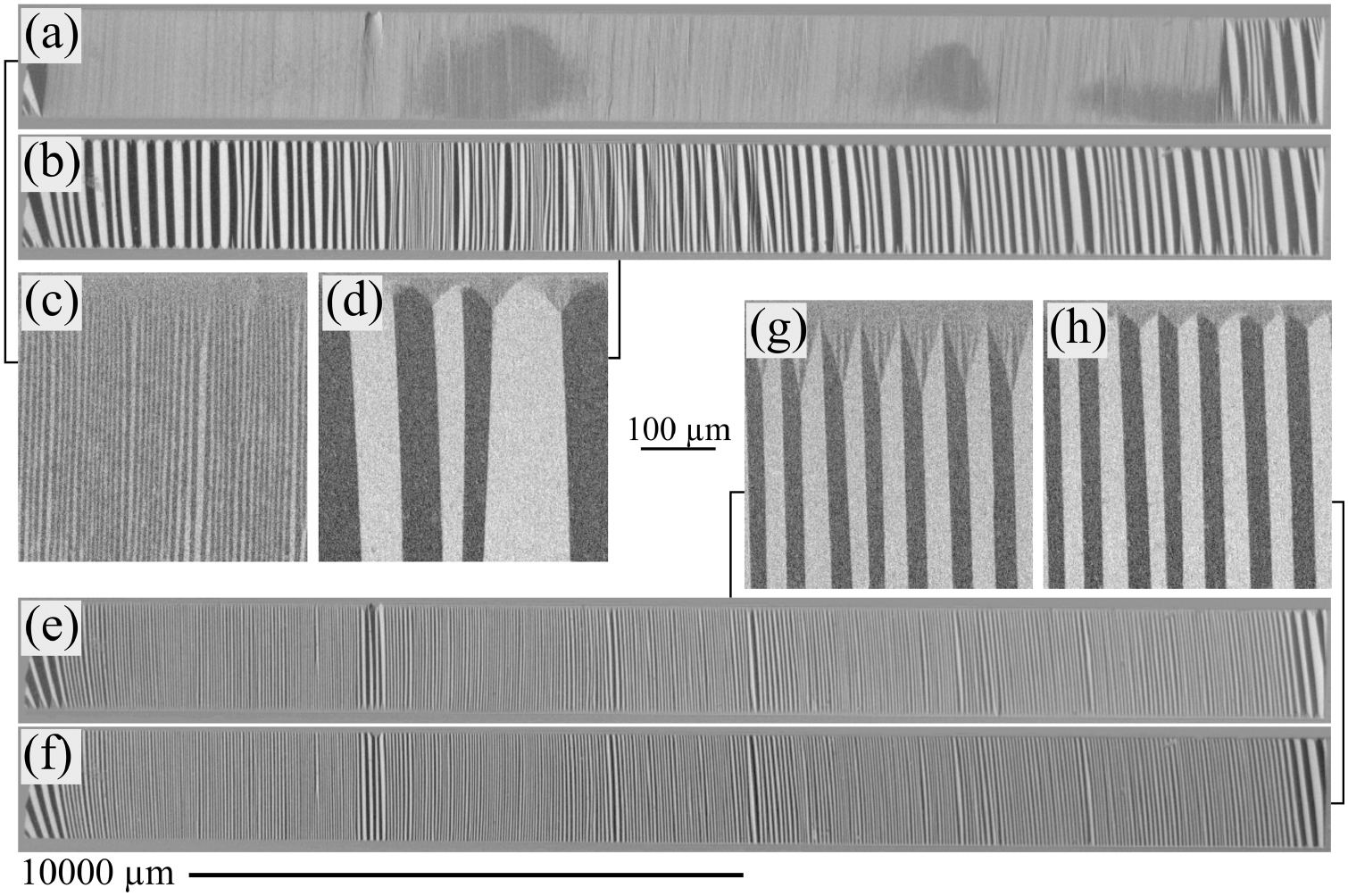 Progress in magnetic domain observation by advanced magneto-optical ...