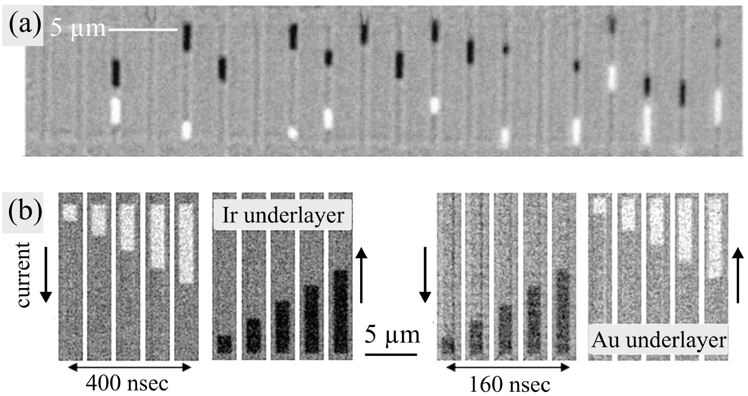 Progress in magnetic domain observation by advanced magneto-optical ...
