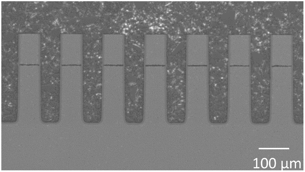 The impact of substrate bias on a remote plasma sputter coating process ...