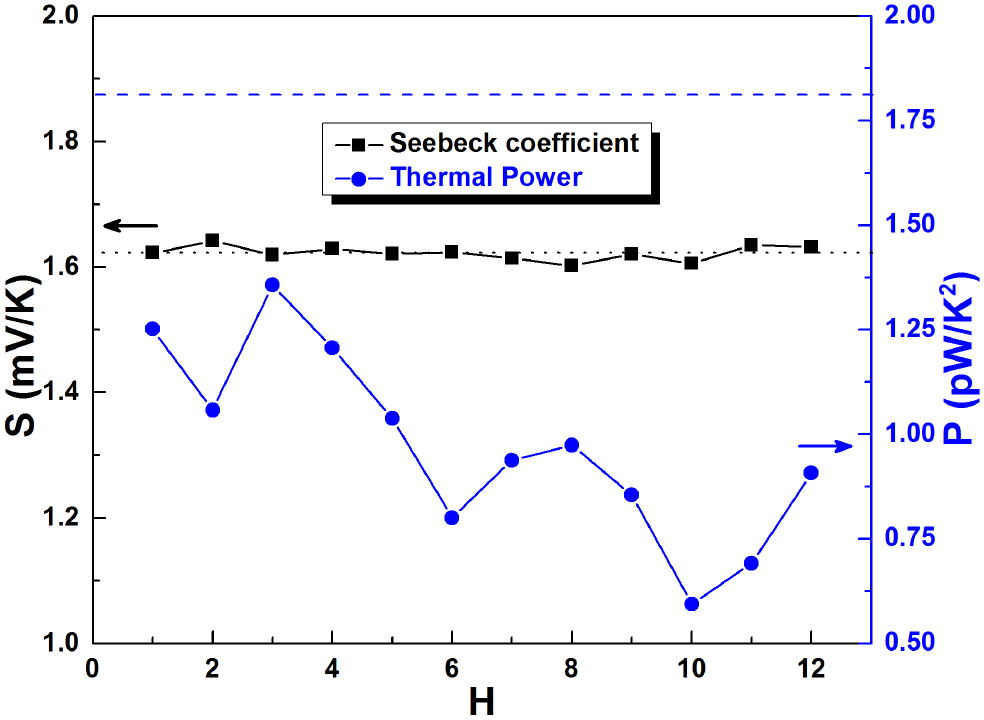 Thermoelectric properties of gamma-graphyne nanoribbon incorporating ...