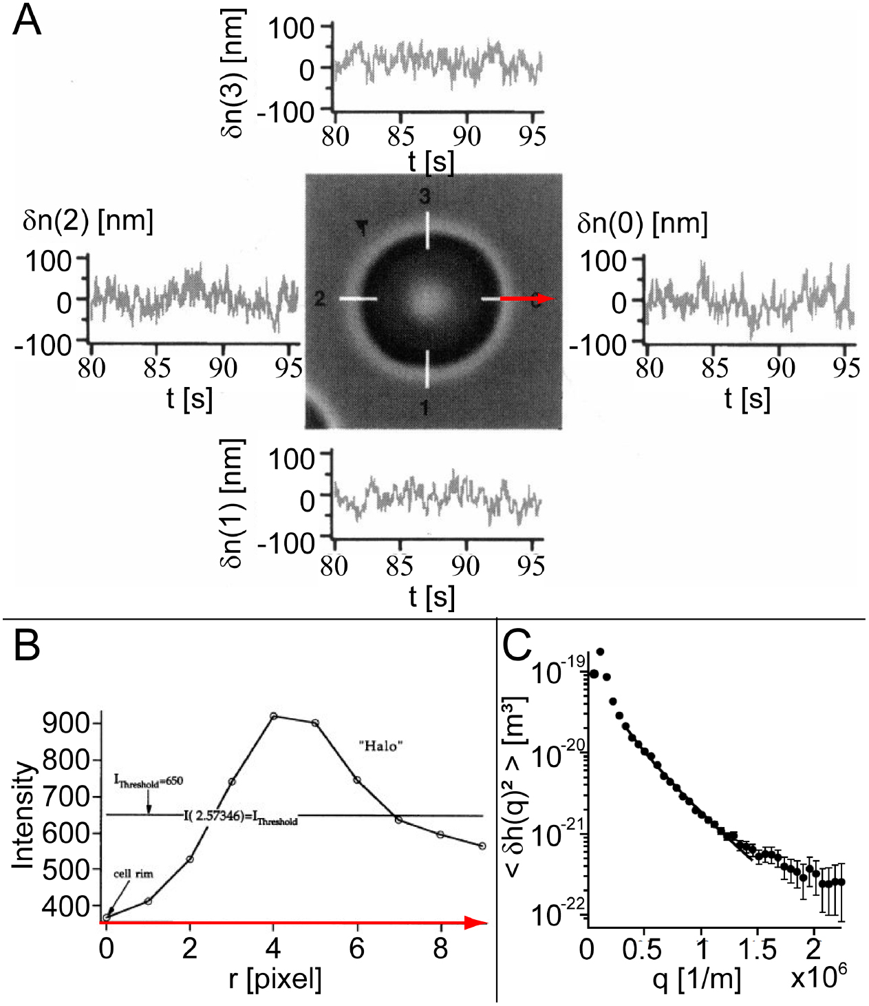 Measuring shape fluctuations in biological membranes - IOPscience