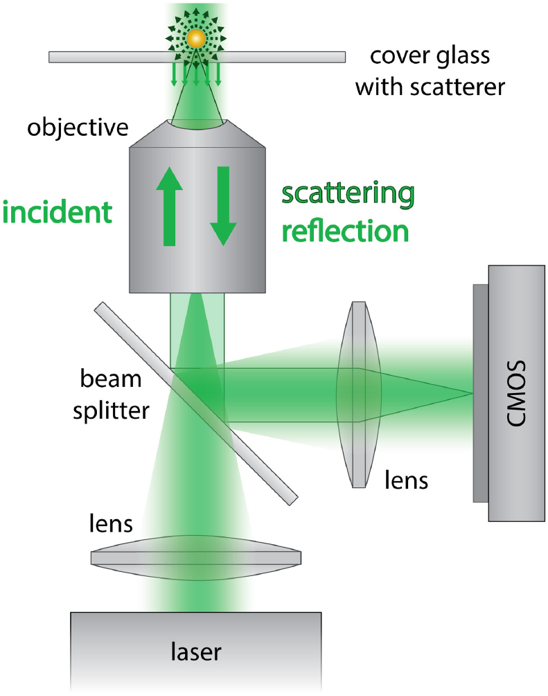 Visualization of lipids and proteins at high spatial and temporal ...