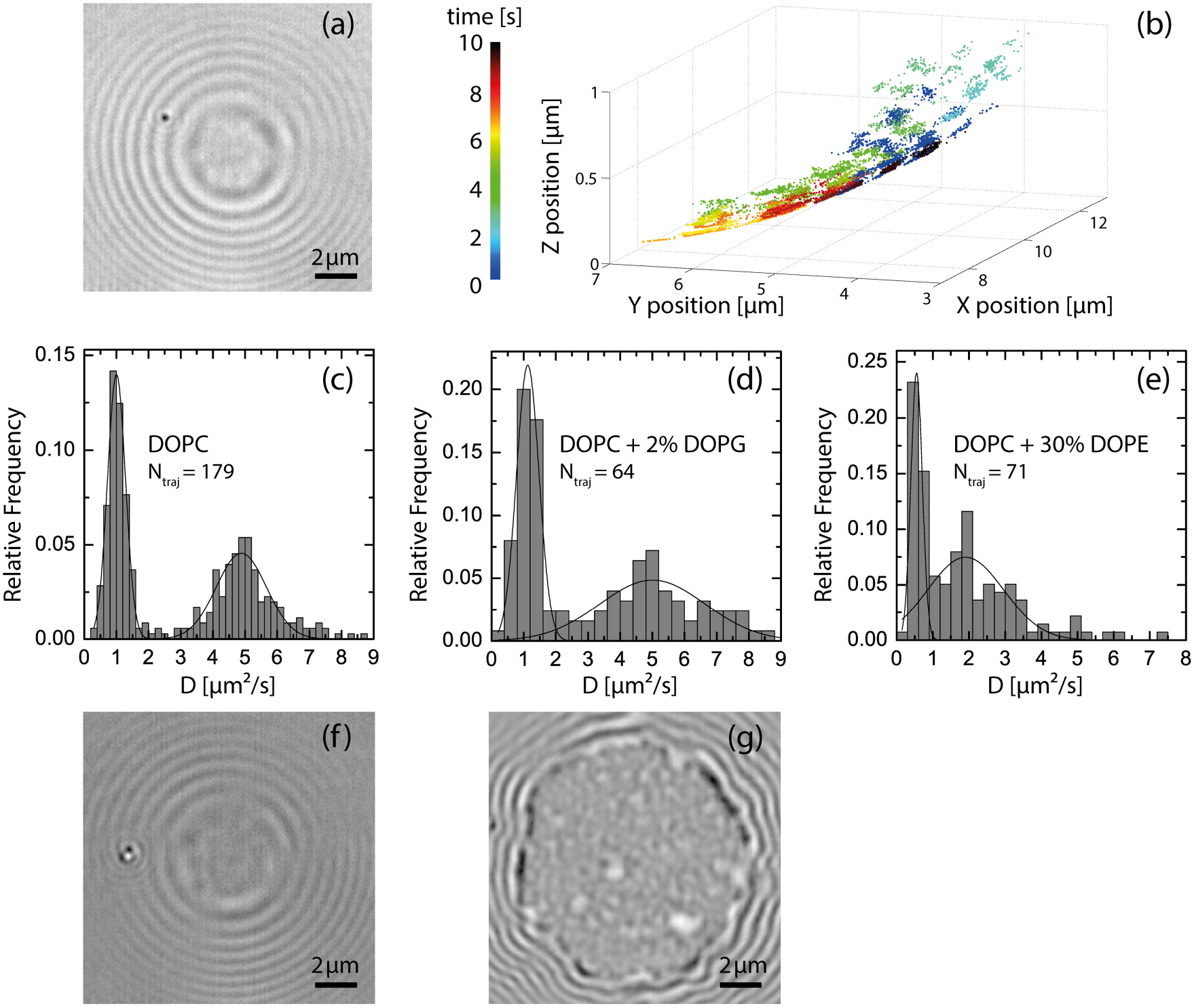 Visualization of lipids and proteins at high spatial and temporal ...