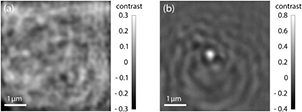 Visualization of lipids and proteins at high spatial and temporal ...