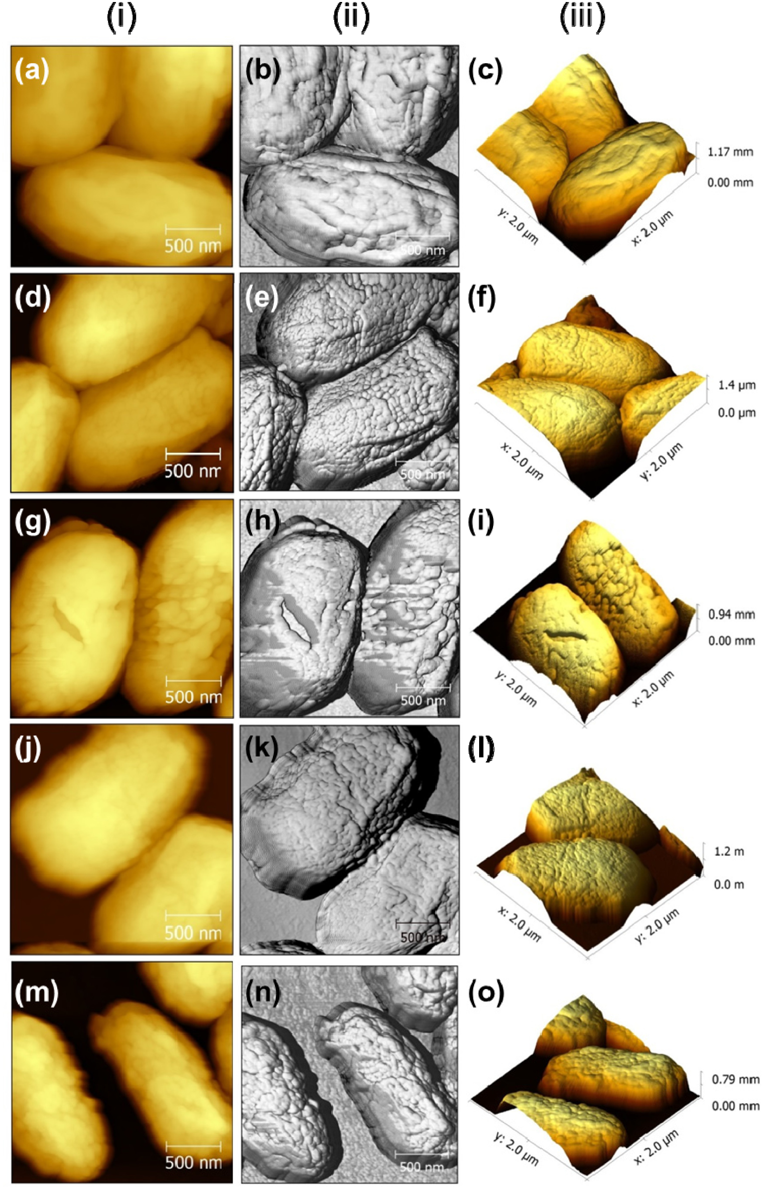 Understanding of the importance of the spore coat structure and ...