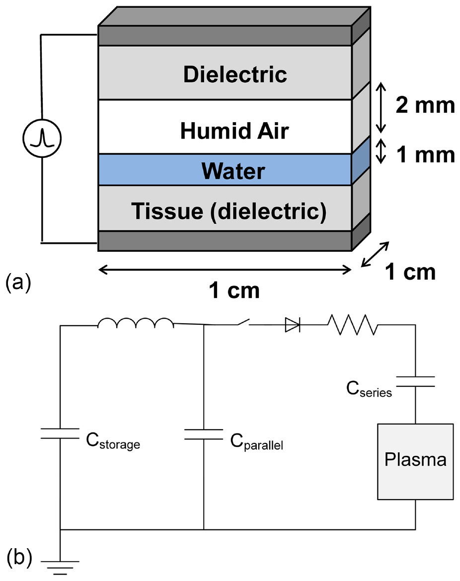 Air plasma treatment of liquid covered tissue: long timescale chemistry ...