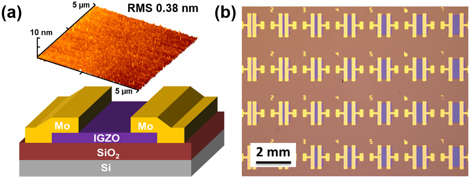 Correlation between active layer thickness and ambient gas stability in ...